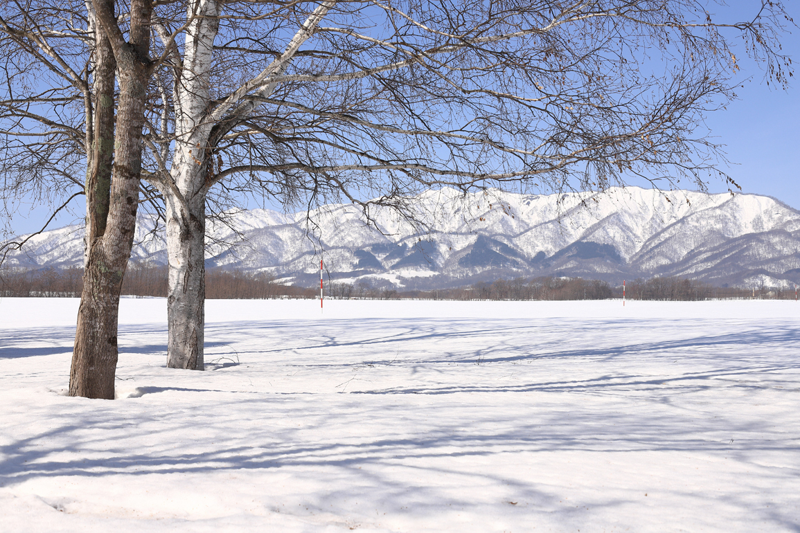 いこいの森: 北国の空から